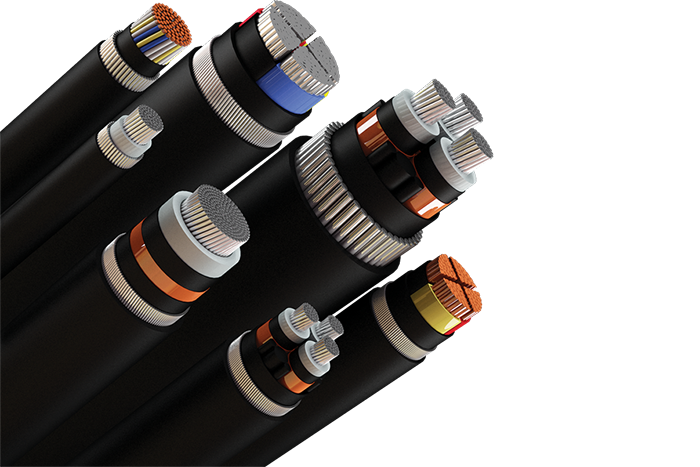 Products - Palm Trees Cable (PTC)